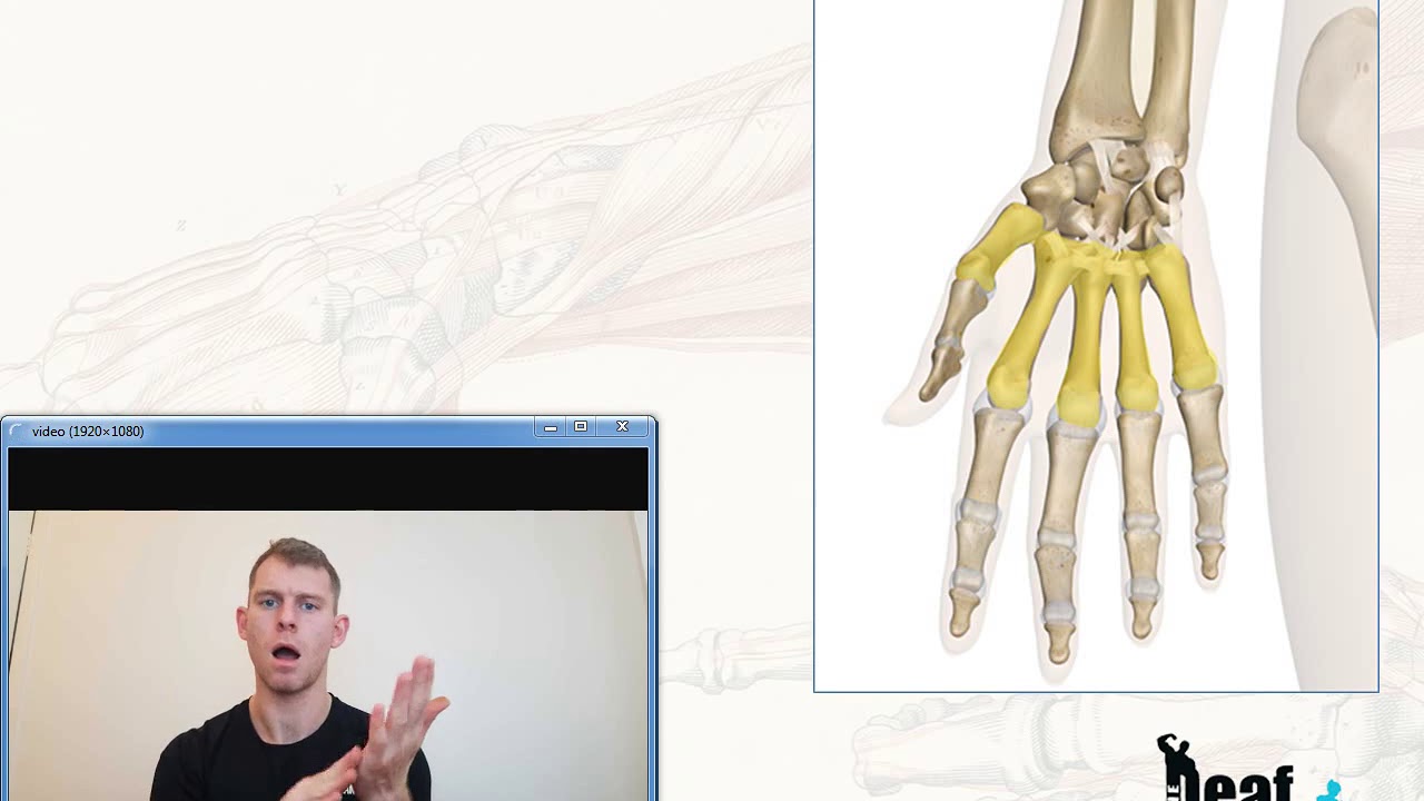 Bones in the hand - Deaf Gym - YouTube