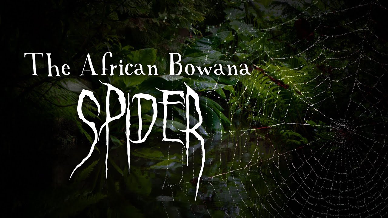 "The African Bowana Spider" by Vincent V. Cava | From "Decomposing Head ...