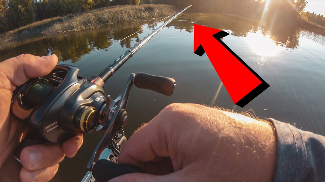 Summer Topwater Fishing - YouTube