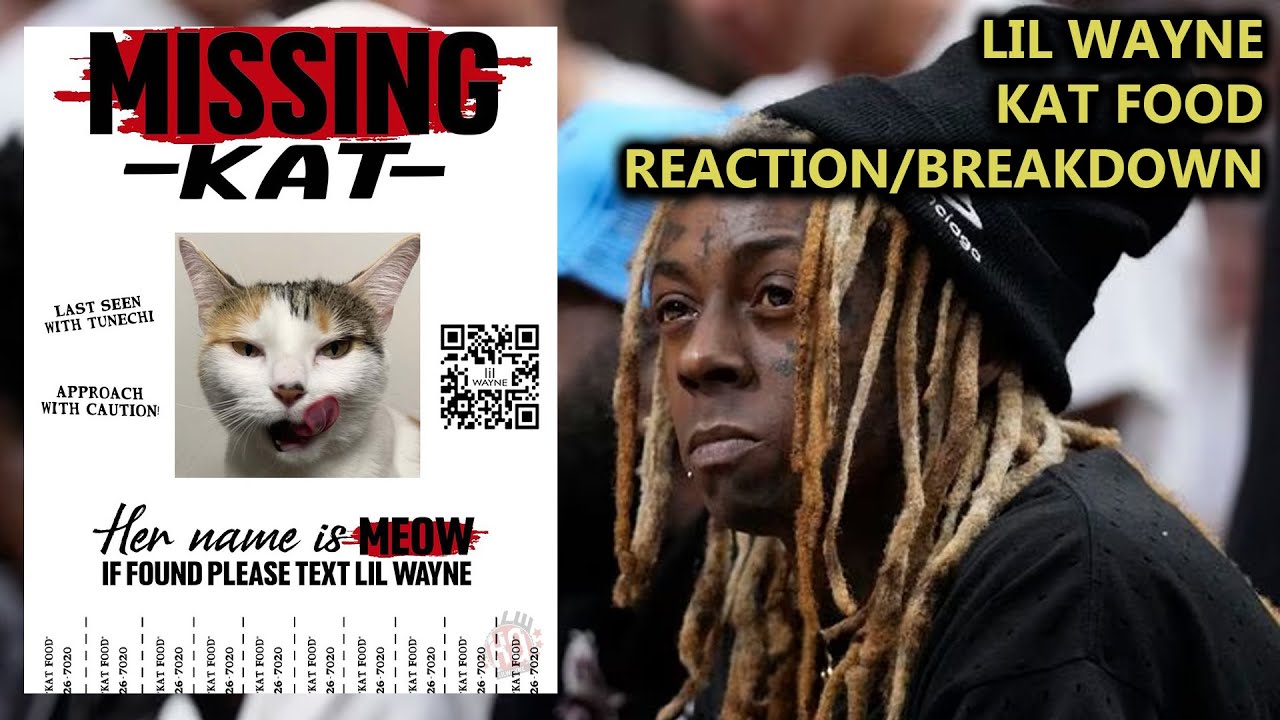 Lil Wayne - KAT FOOD Reaction - YouTube