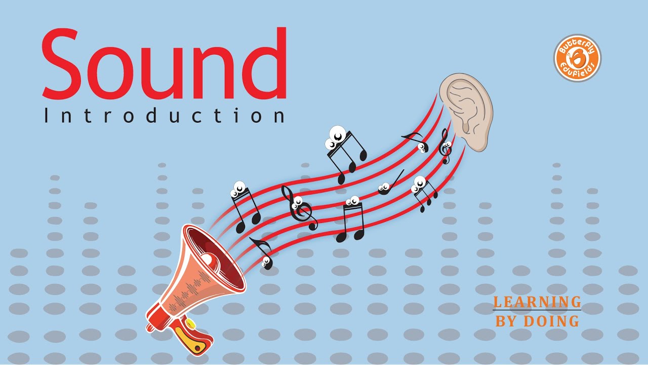 Introduction to Sound | Butterfly fields | Education Simplified - YouTube