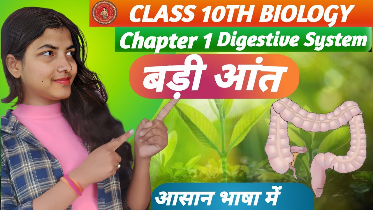 "Bihar Board Ke Liye Digestive System Ka Sabse Aasan Tarika!" - YouTube