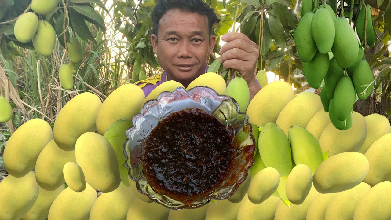 Looking my father eating mango with chili spicy 🥭🌶️ - YouTube