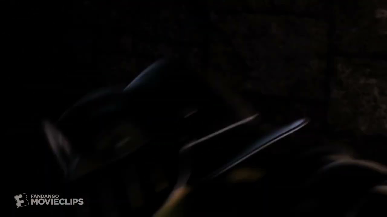 Shrek Rescuing Princess Fiona Pitch Black - YouTube