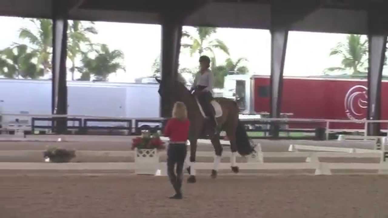 Debbie McDonald : Body Positioning and Straightness for Dressage - YouTube