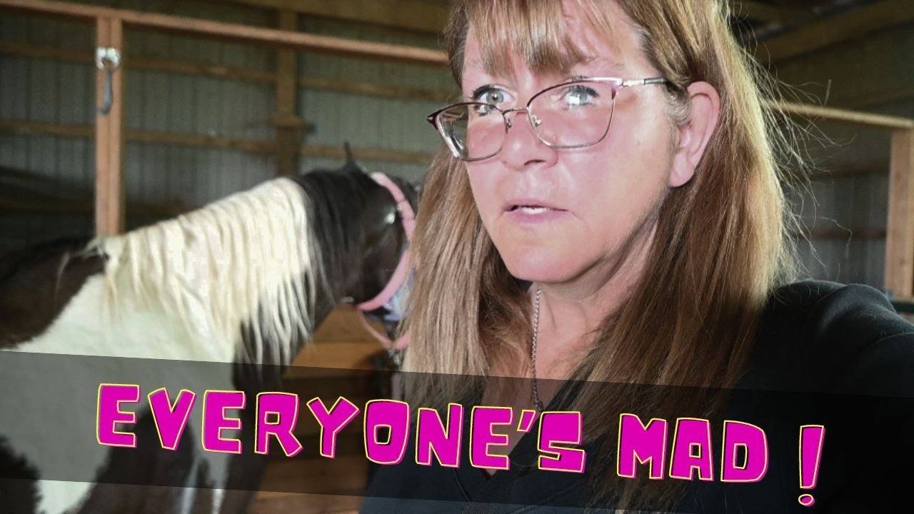 Everyone Is Mad At US! - YouTube