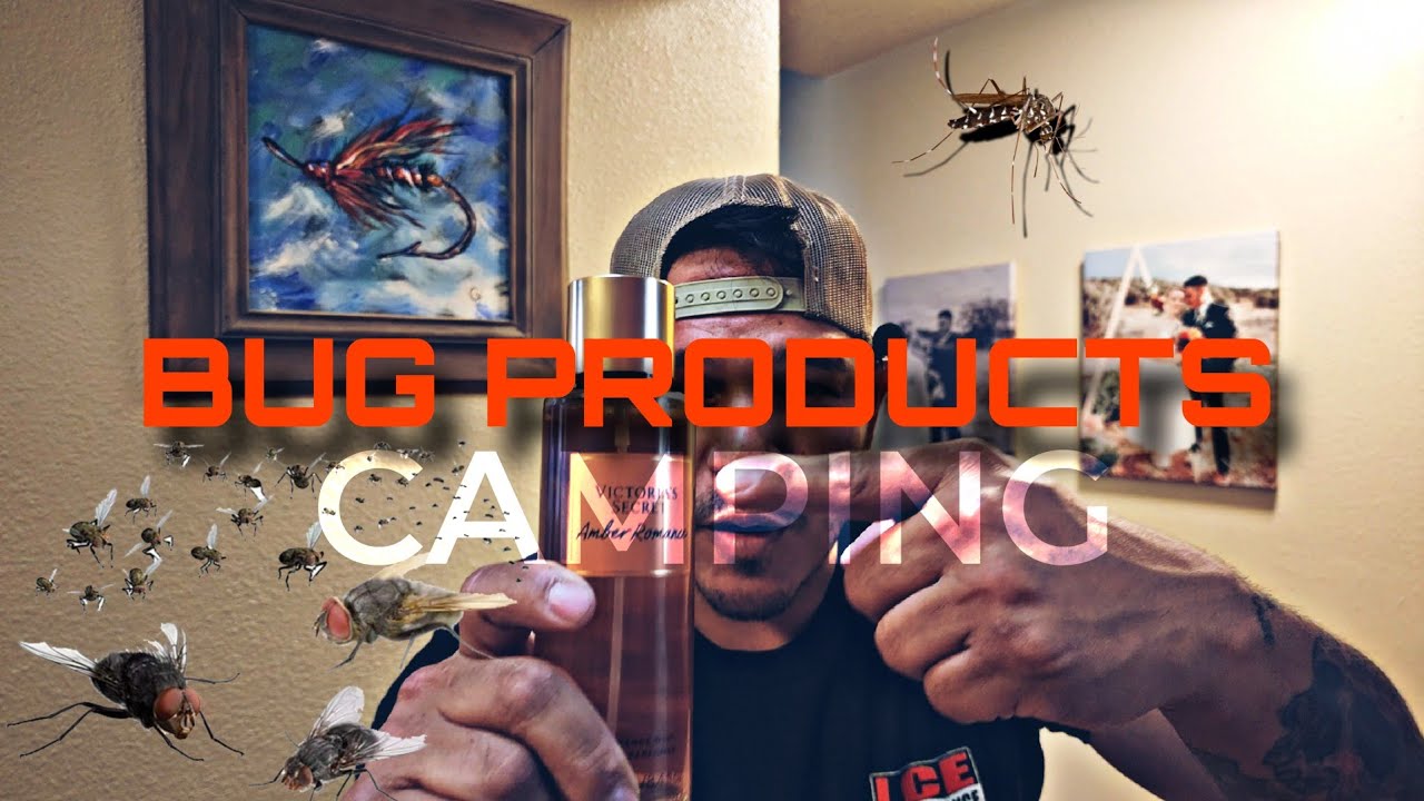 Ultimate Guide to Mosquito, Biting Fly & Noseeum's Control | New Mexico ...