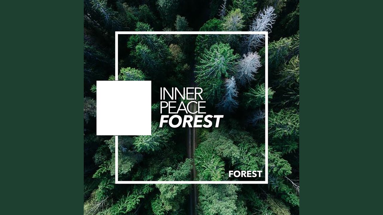 Little River Twitter - YouTube