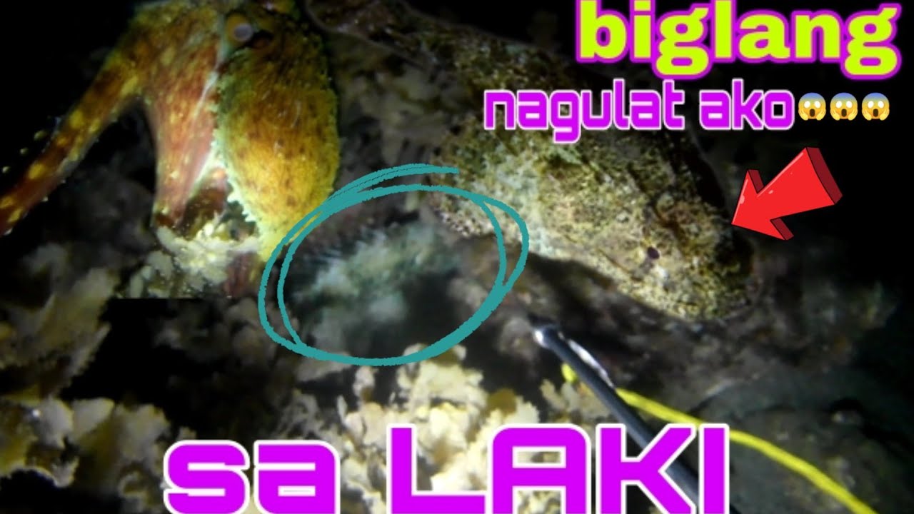 part 16 Philippines night hunting fish naka chamba tayo nang isang ...