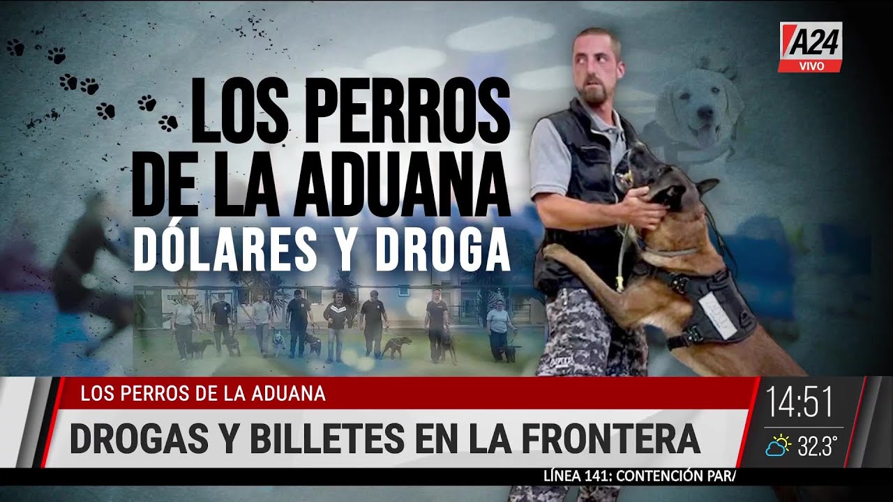 🐕‍🦺 ENTRENAMIENTOS DE PERROS DETECTORES DE DROGAS Y DIVISAS EN CLORINDA ...