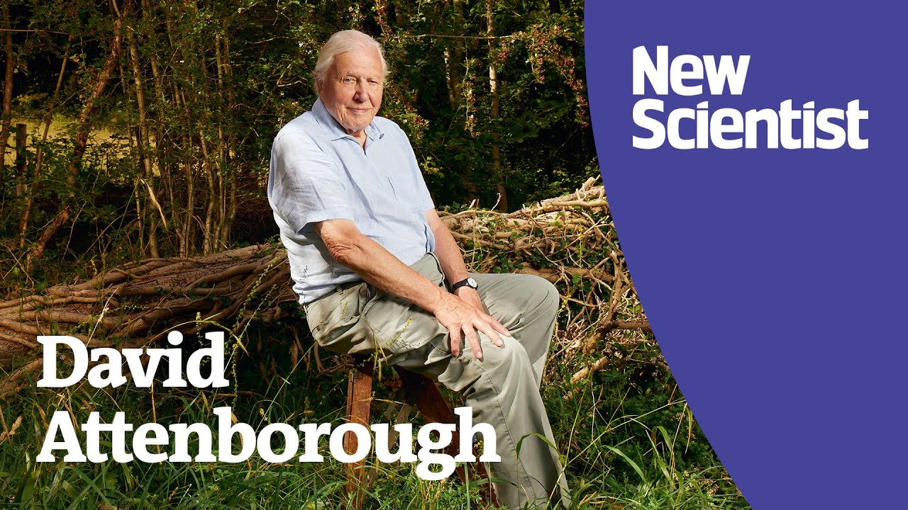 David Attenborough on Planet Earth III: The natural world is not ...