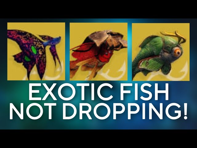 Exotic Fish