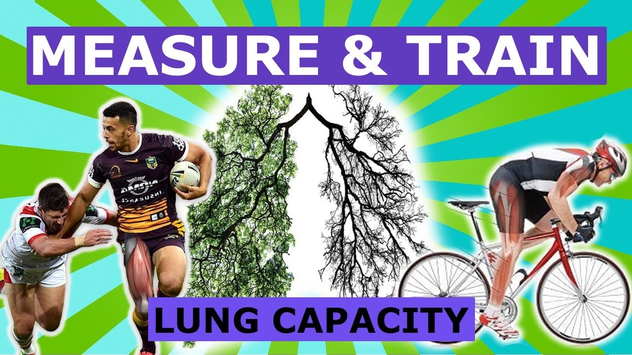 How To Measure (and Train!) Your Lung Capacity Using Spirometry and ...