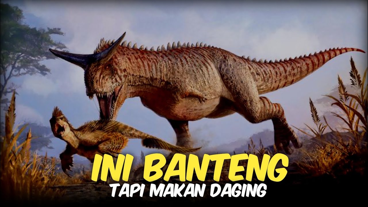 LAH!! BANTENG PURBA PEMAKAN DAGING? - YouTube