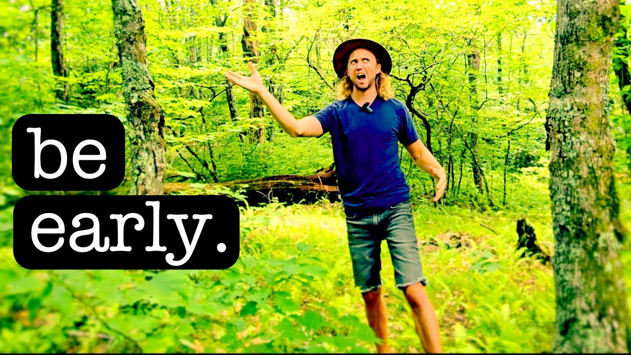 Trees show me a vision – here’s what’s coming - YouTube