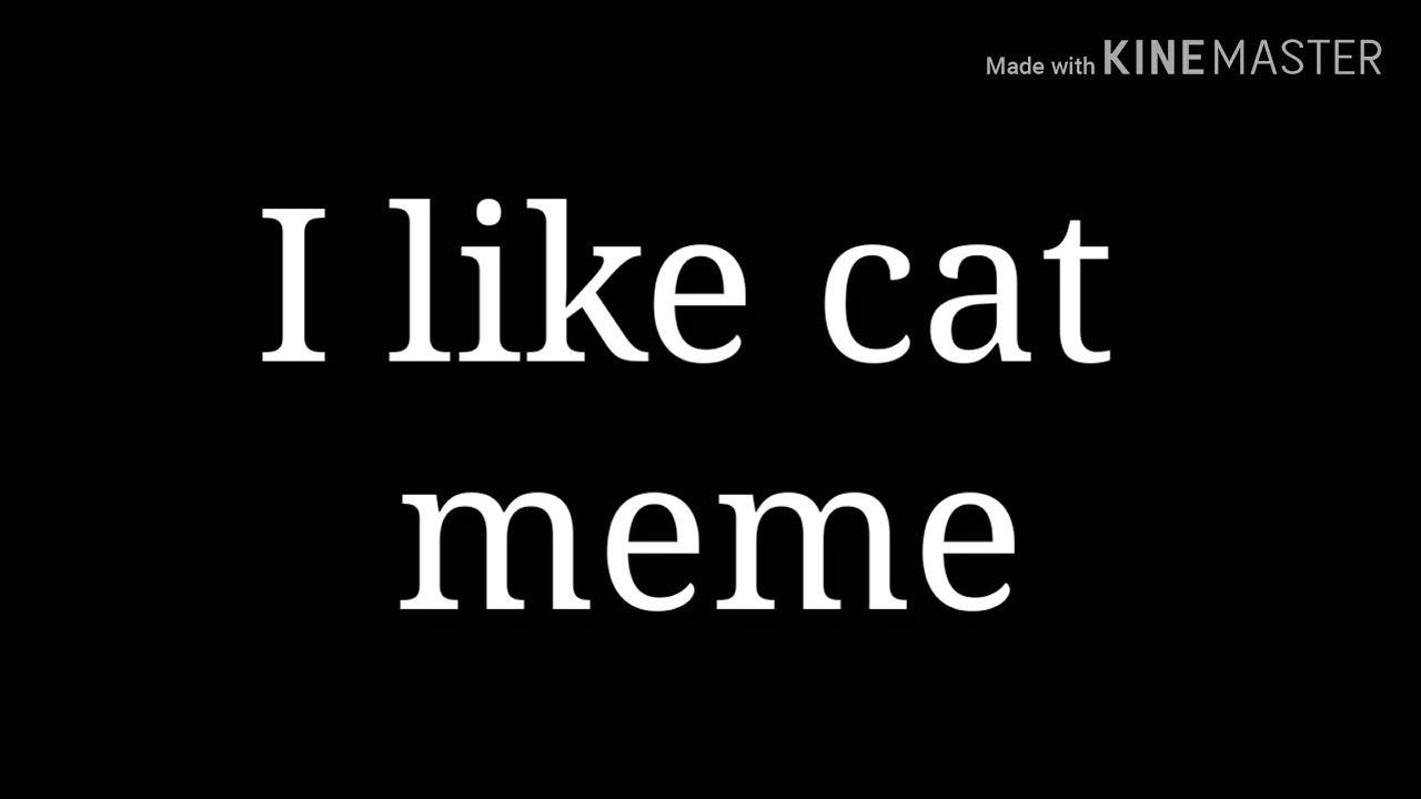 I LIKE CAT MEME - YouTube