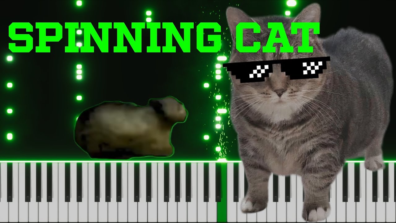 Spinning Cat Meme Song - OIIA OIIA (Piano Cover) - YouTube
