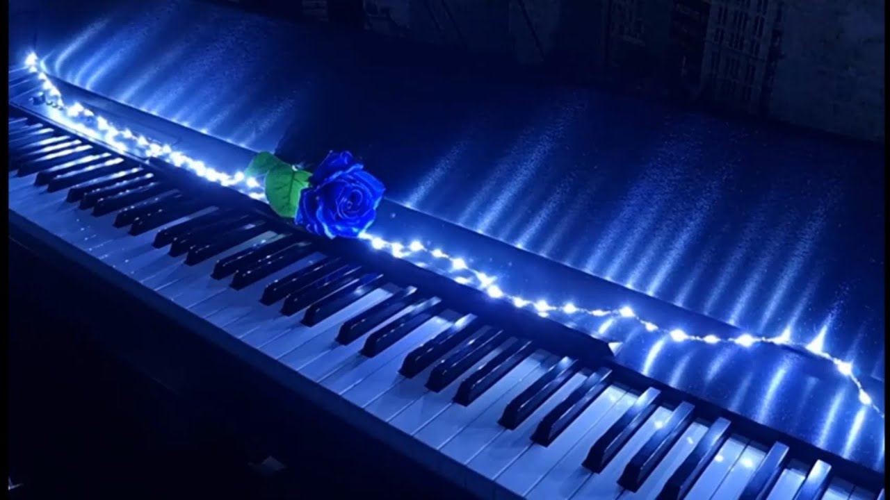 Mr.Kitty - After Dark (Piano Cover) - YouTube