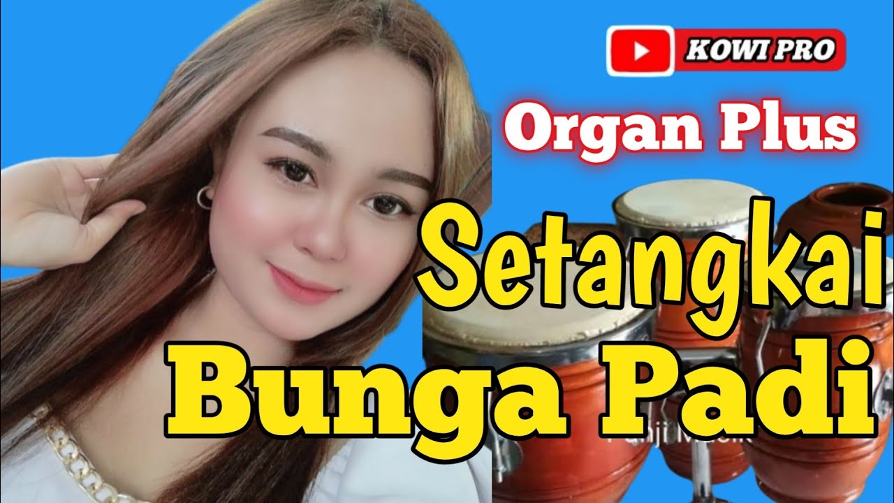 SETANGKAI BUNGA PADI - FEAT ARIN - COVER ELWCTONE - ORGAN TUNGGAL FERI ...