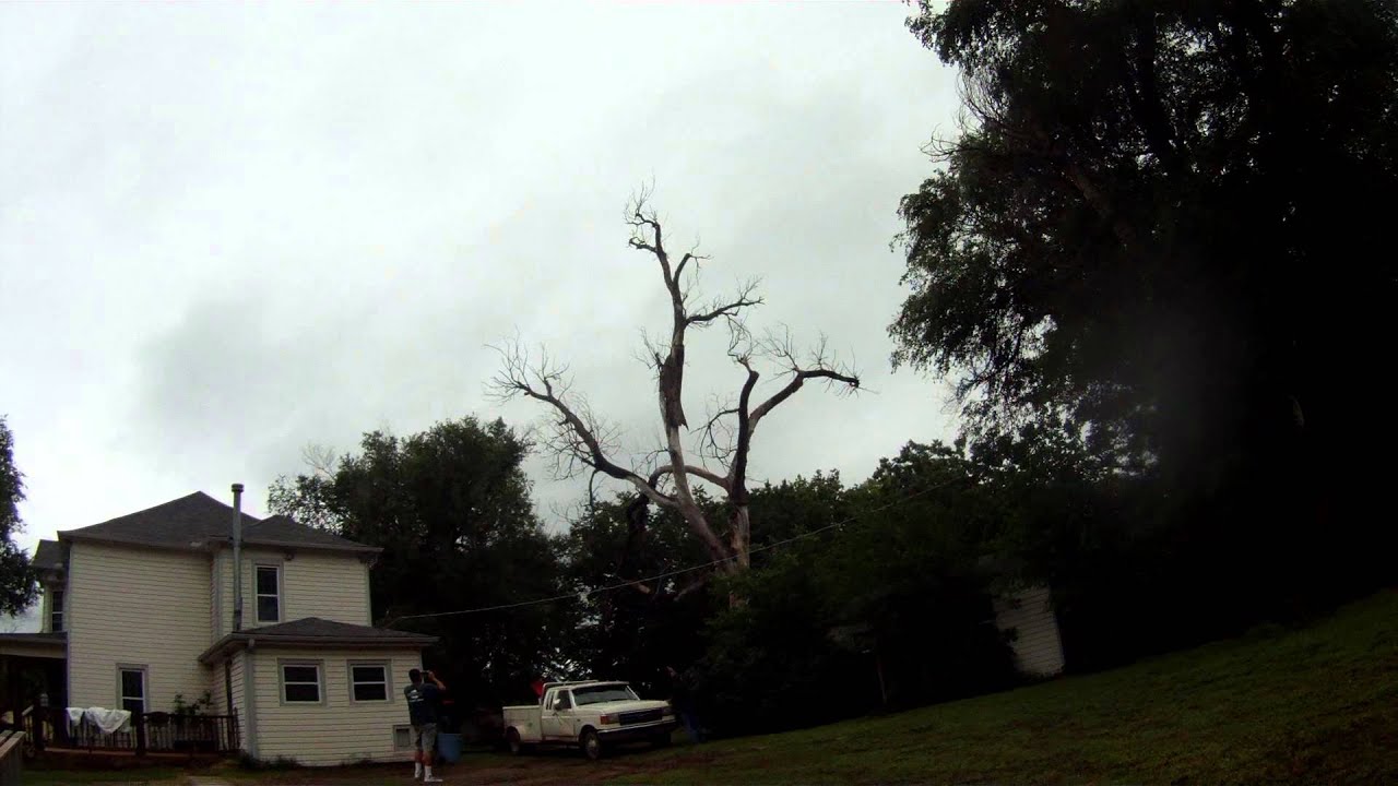 ArborTechs bring down a big dead tree in our yard - YouTube