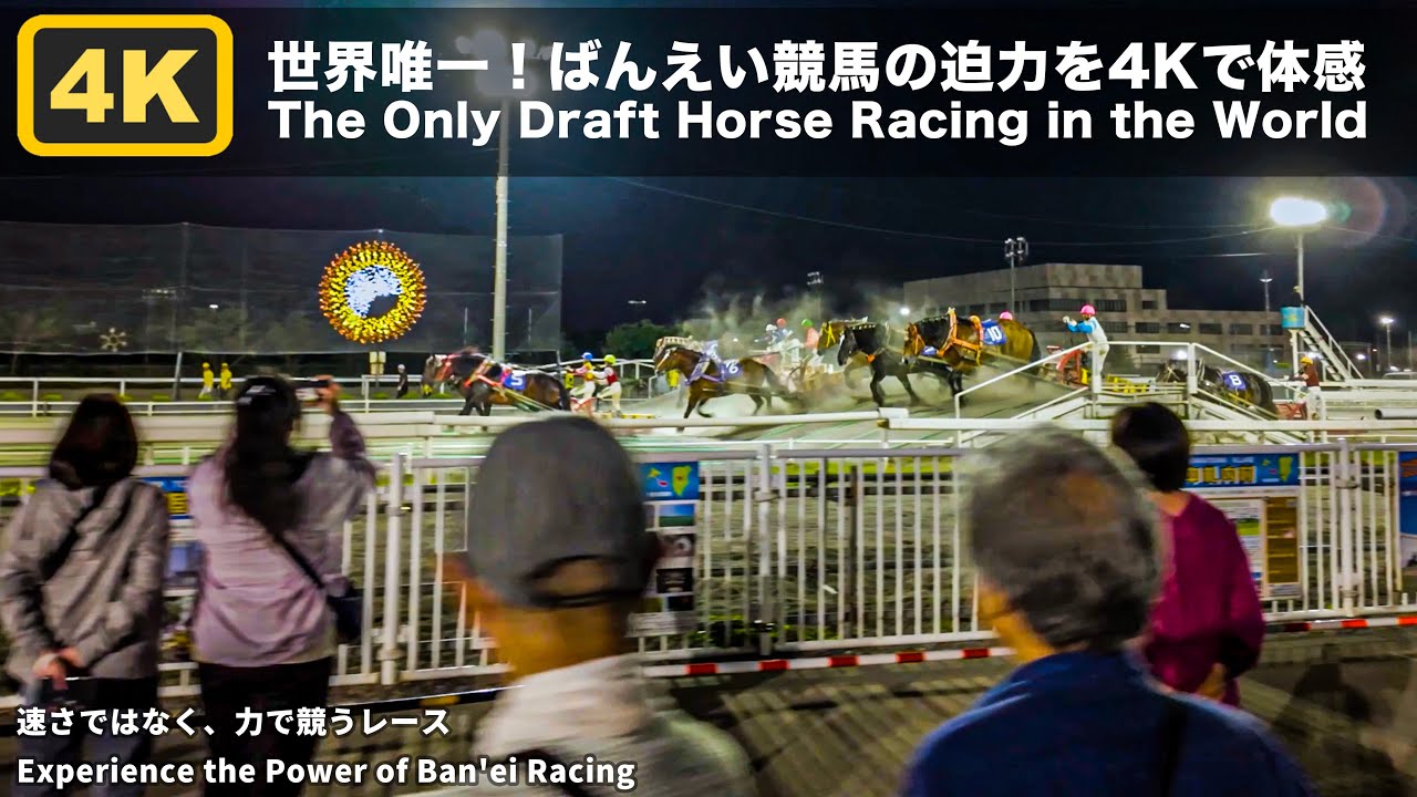 世界唯一のばんえい競馬を4Kで体験！帯広競馬場の迫力あるレース｜Ban'ei Horse Racing at Obihiro ...