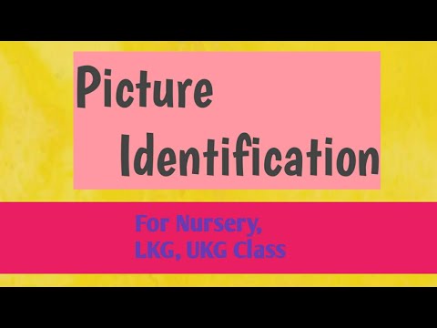 Picture identification for Nursery, LKG, UKG - YouTube