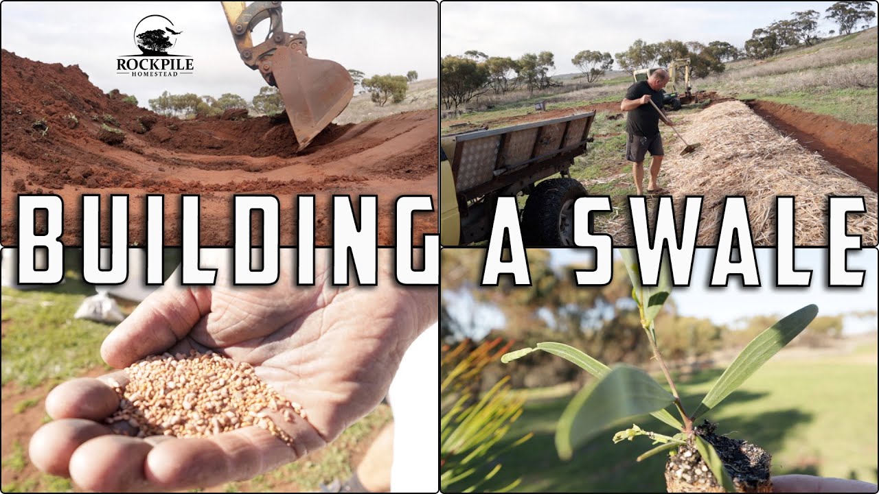 FULL permaculture SWALE build in 10 MINUTES | Off grid homestead - YouTube