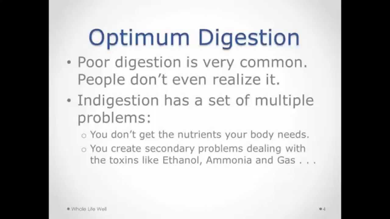 Digestion Part 4 - Optimal Digestion - YouTube