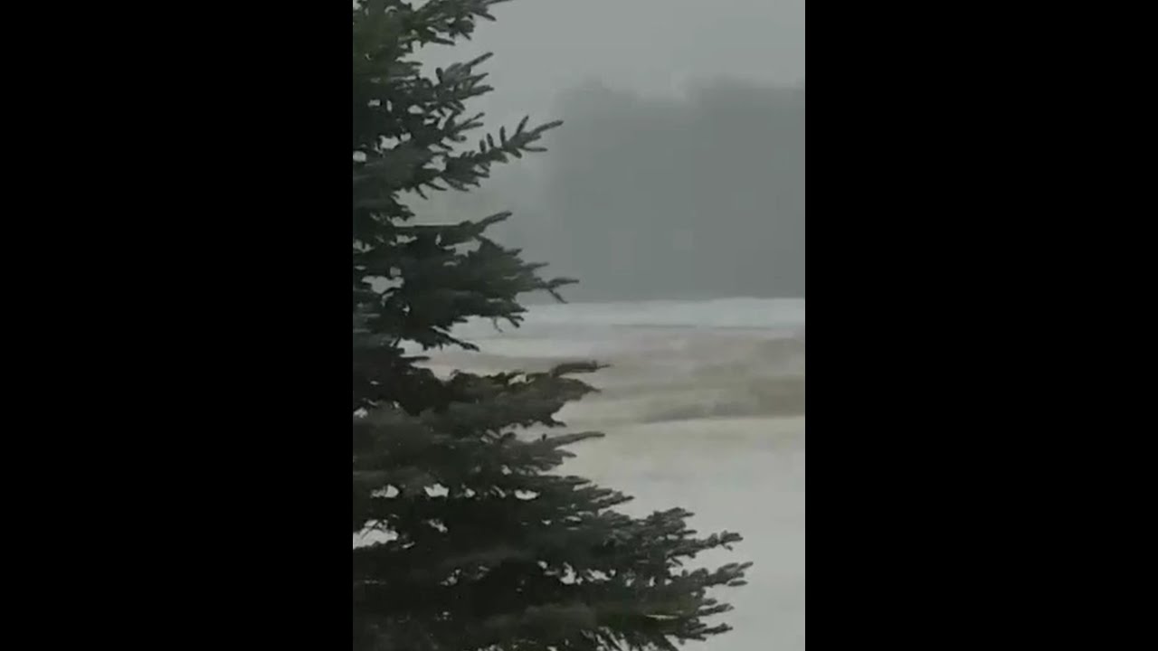 Spring Time in Wisconsin 2024 - YouTube