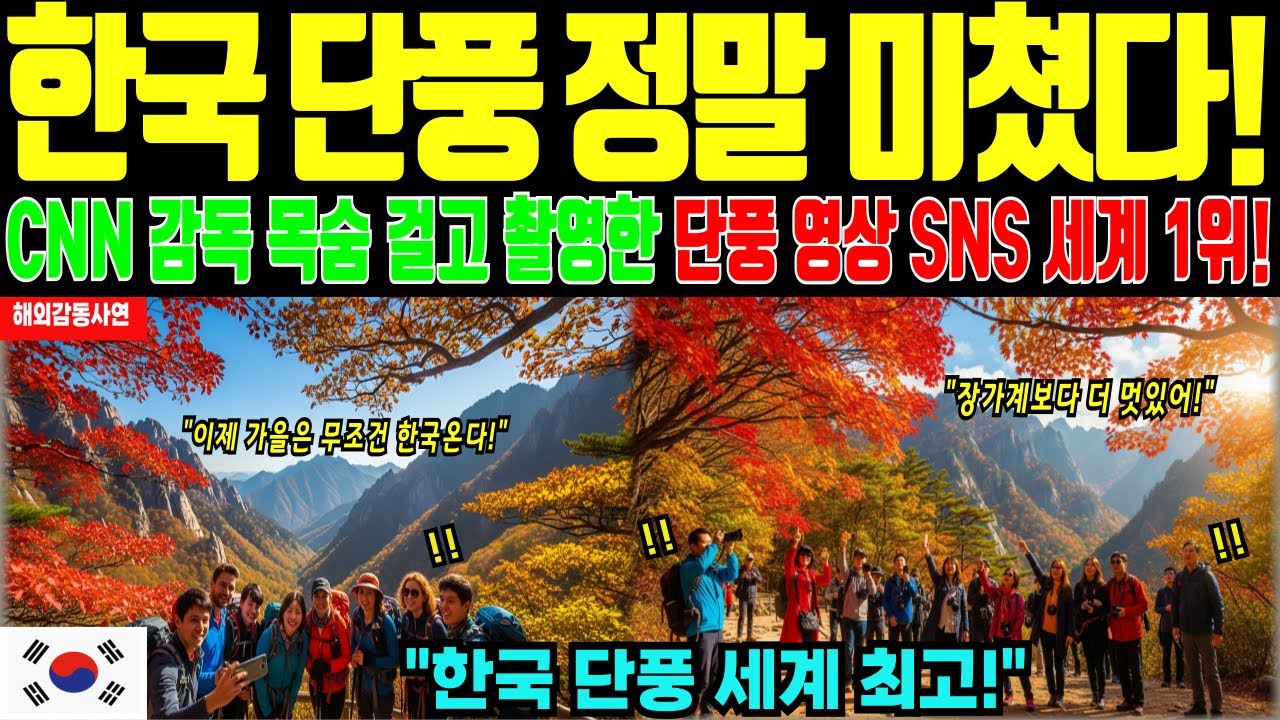 [해외감동사연]CNN PD, 직접 찍은 SNS 세계 1위! 한국 단풍에 전세계 열광, 전 세계 크리에이터 모아 찍은 단풍 영상 전세계가 발칵 뒤집혔다 - YouTube