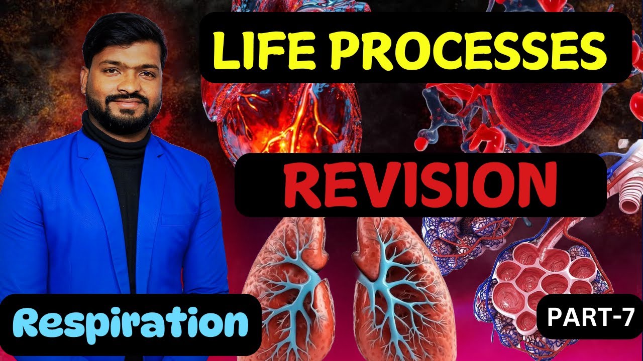 one shot revision of life processes | excretion || eduspark || part -7 ...