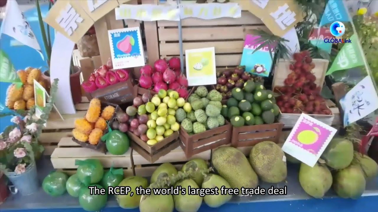 RCEP helps more ASEAN agricultural products enter Chinese market - YouTube