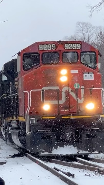 Zebra stripes SD40-2w leading E251 with NS ace trailing! #cnrailway - YouTube