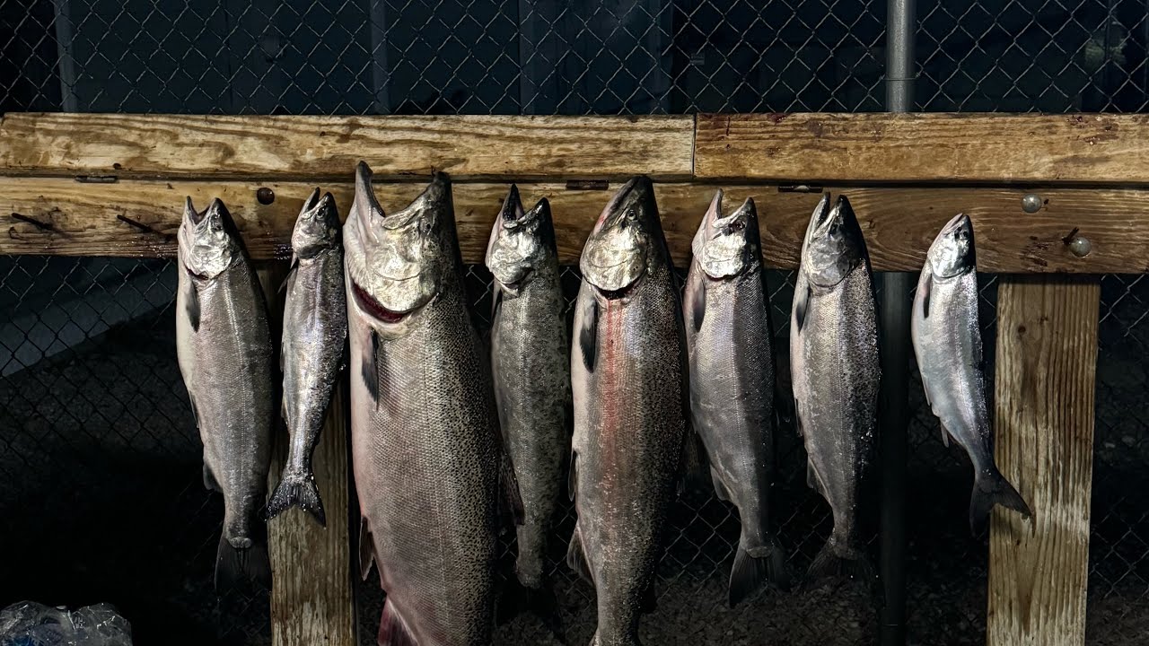 Failing it’s called fishing not catching - YouTube