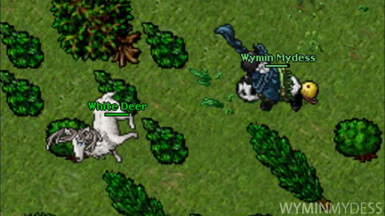 Tibia Summer 2011 Update Mounts (Commentary) - YouTube