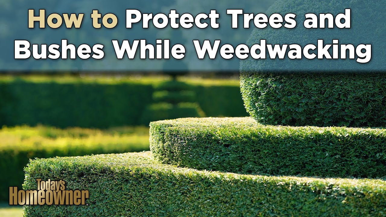 Use This Yard Hack to Protect Trees and Bushes While Weedwacking - YouTube