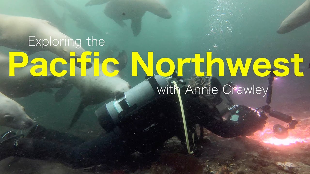 Explore The Pacific Northwest with Annie Crawley's Dive Team - YouTube