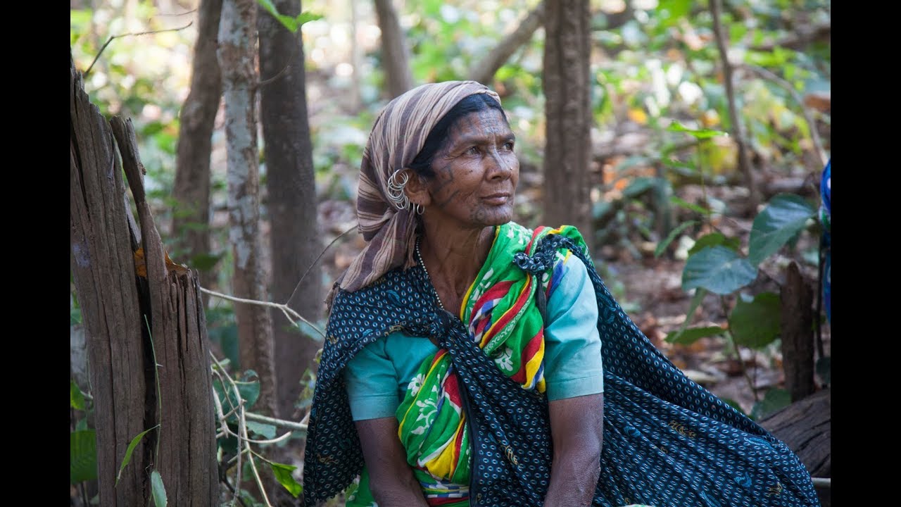 Sustainable Livelihoods: Tribal Women of Odisha - YouTube