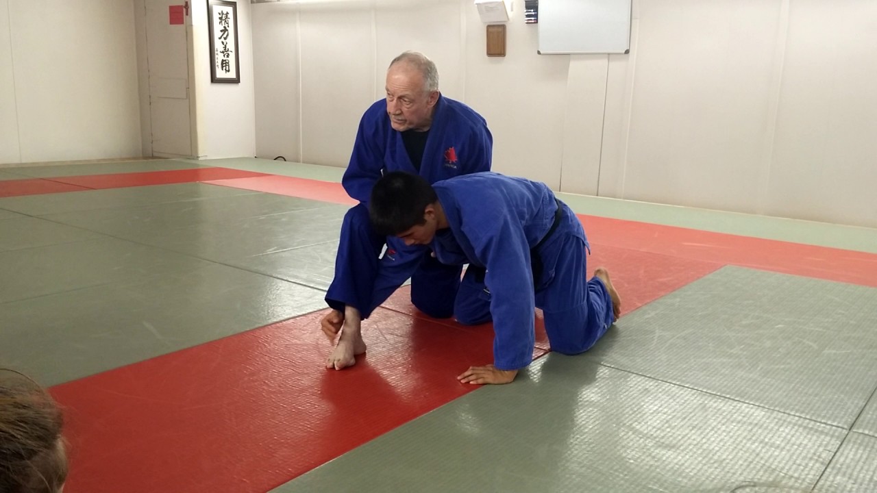 Turtle Roll - Part 2 - YouTube