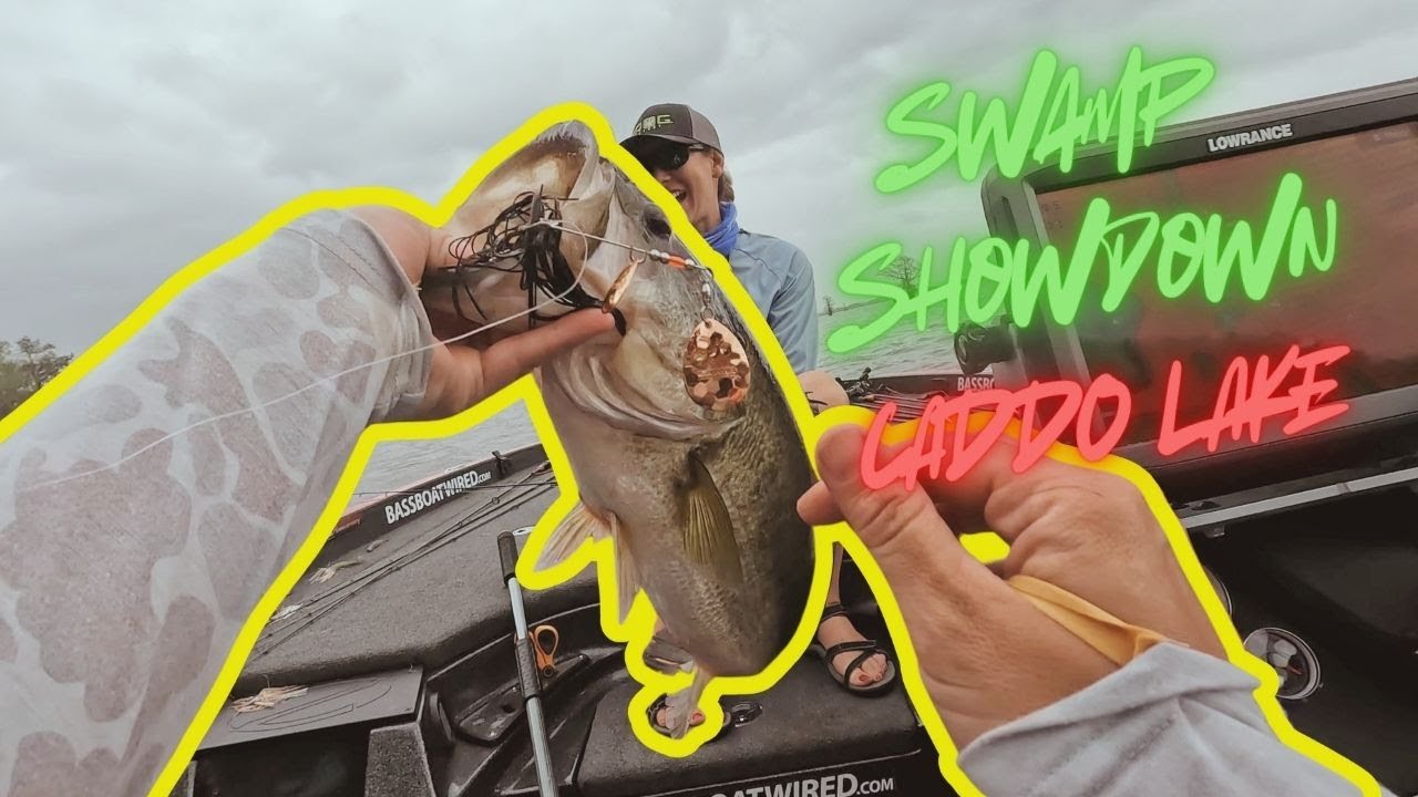 Swamp Fishing Showdown! My First Co-Angler Boat Tournament on Caddo ...