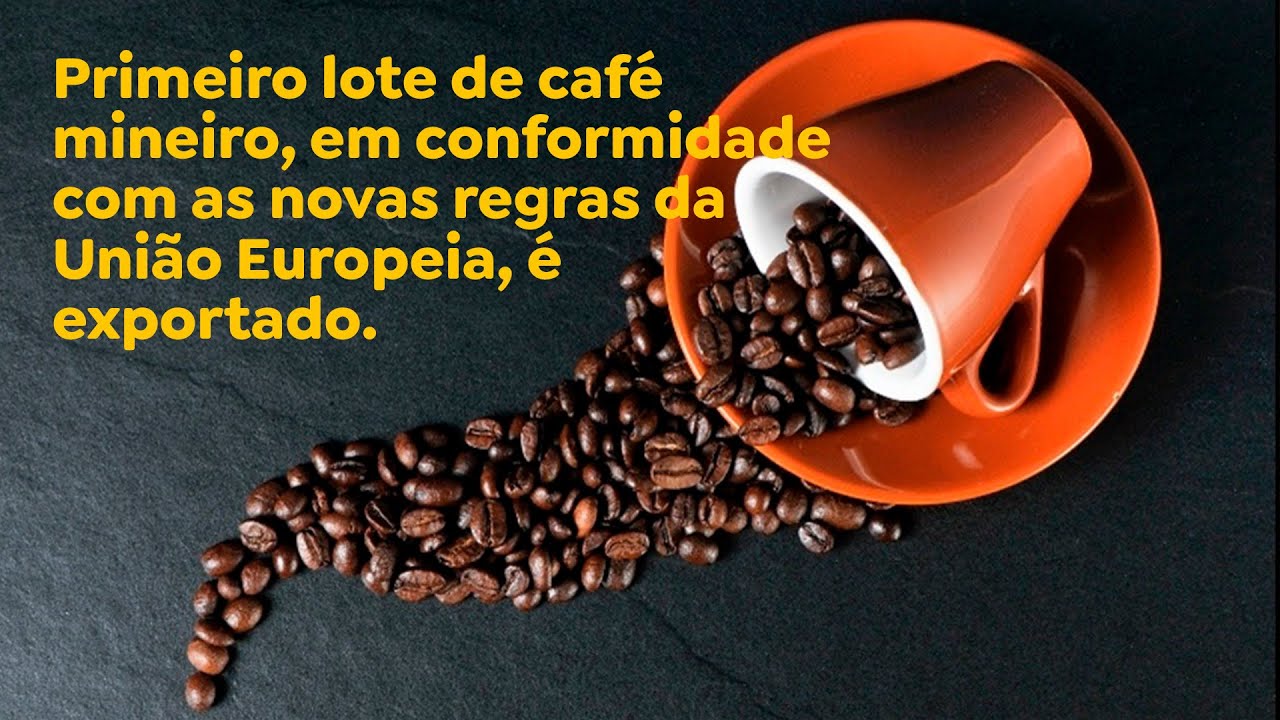 Primeiro lote de café mineiro, em conformidade com as novas regras da ...