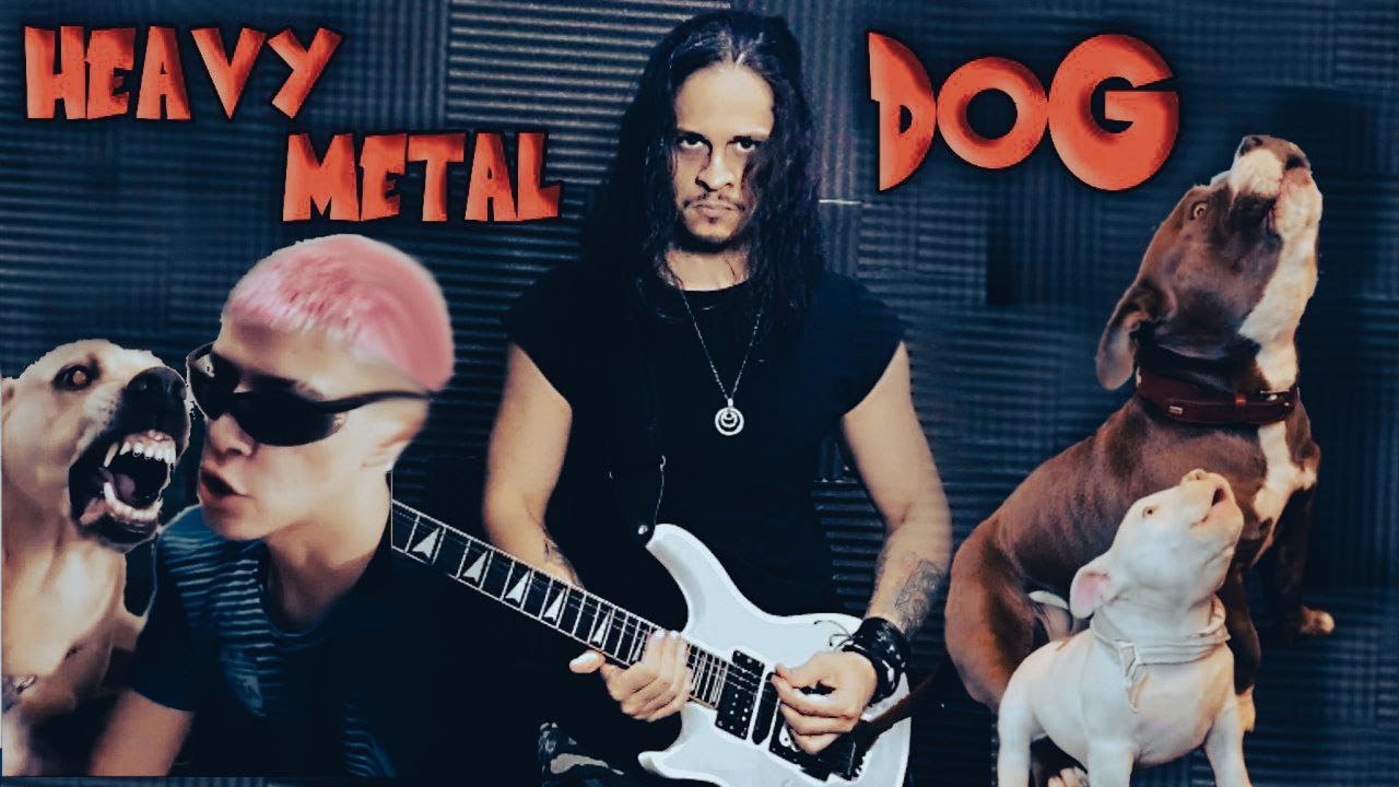 Canine Metal: Heavy Metal Songs Sung by Dogs - YouTube