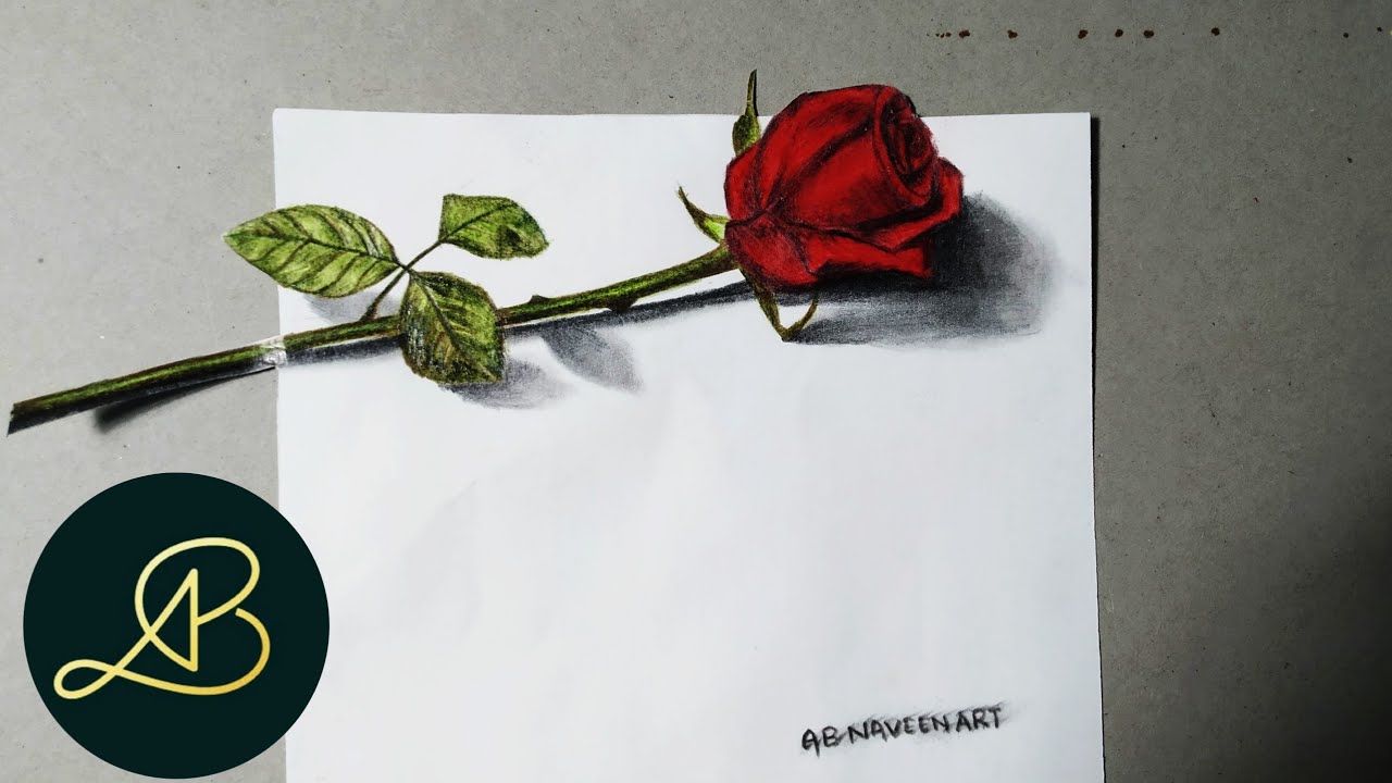3D Rose Painting ( Colour Pencil ) - Timelapse | AB Naveen art - YouTube