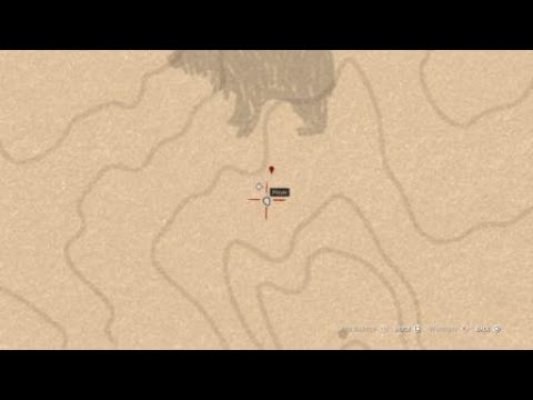 Red Dead Redemption 2 - Grizzly Bear Spawn Location for Perfect Pelt ...