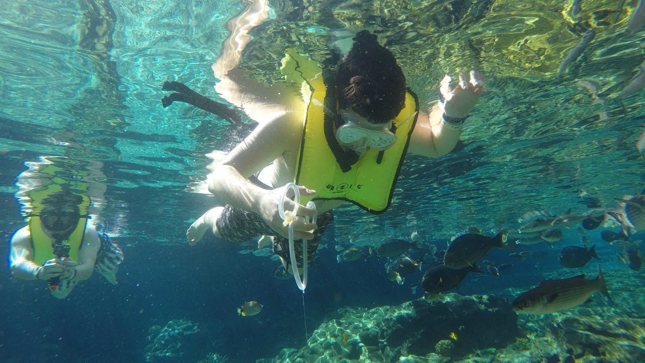 Feeding the Fish in the Reef and the best Luau at Aulani 🐠 - YouTube