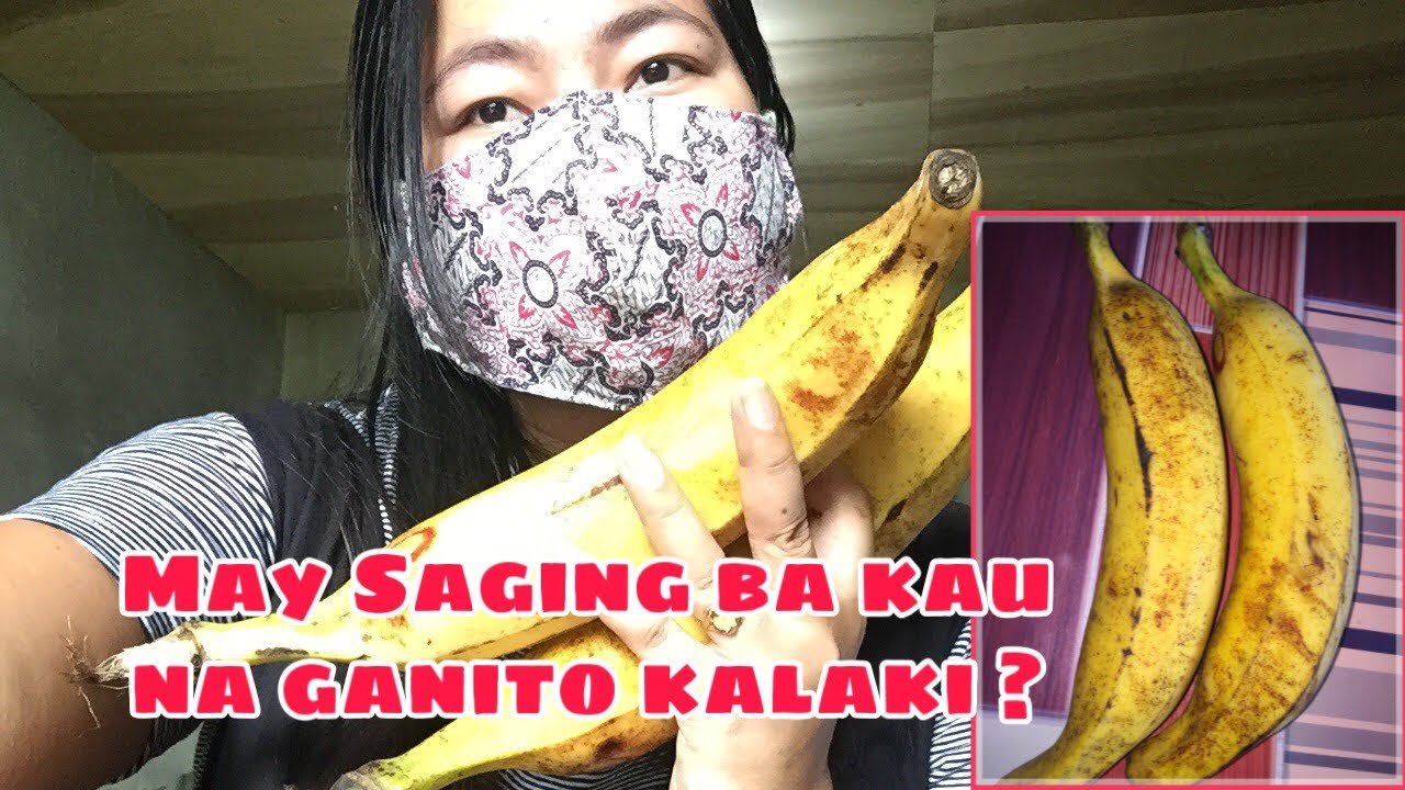 May saging ba kau na ganito kalaki?kahit hinog na sya kailangan pa isaing 😂😂😂 - YouTube