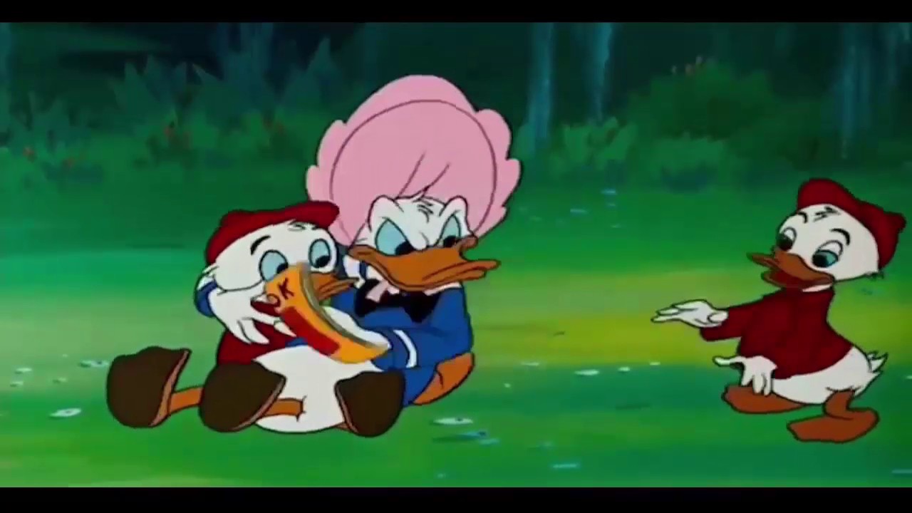 ᴴᴰ Donald Duck & Chip And Dale - Best Cartoons Classic - YouTube