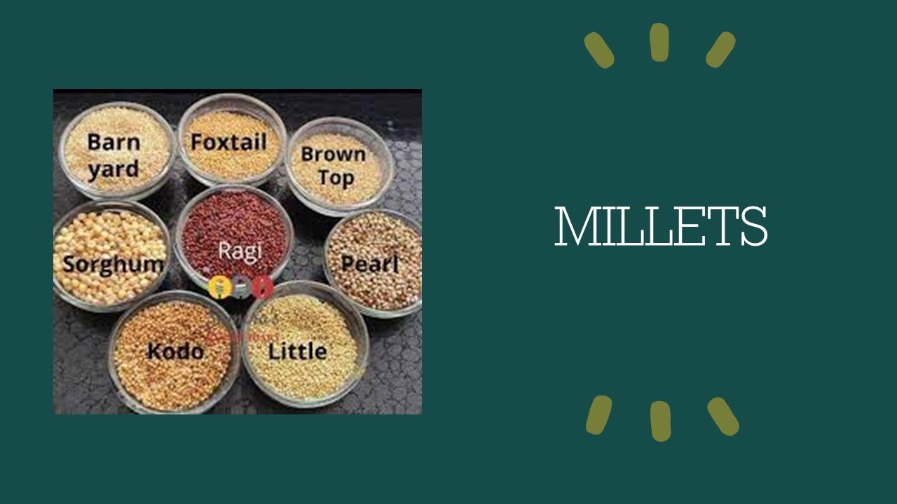 Millets - GS 3, 2018 Mains Question Discussion - YouTube