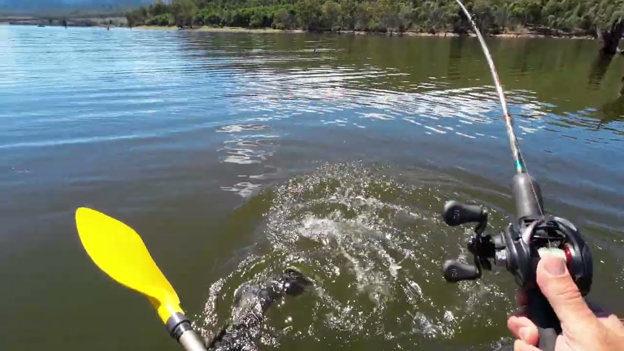 The hardest hitting fish I have ever caught. I caught my biggest Lake ...