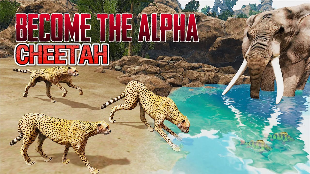 The Cheetah Animal Simulator By Yusibo Simulator Games #2 - YouTube